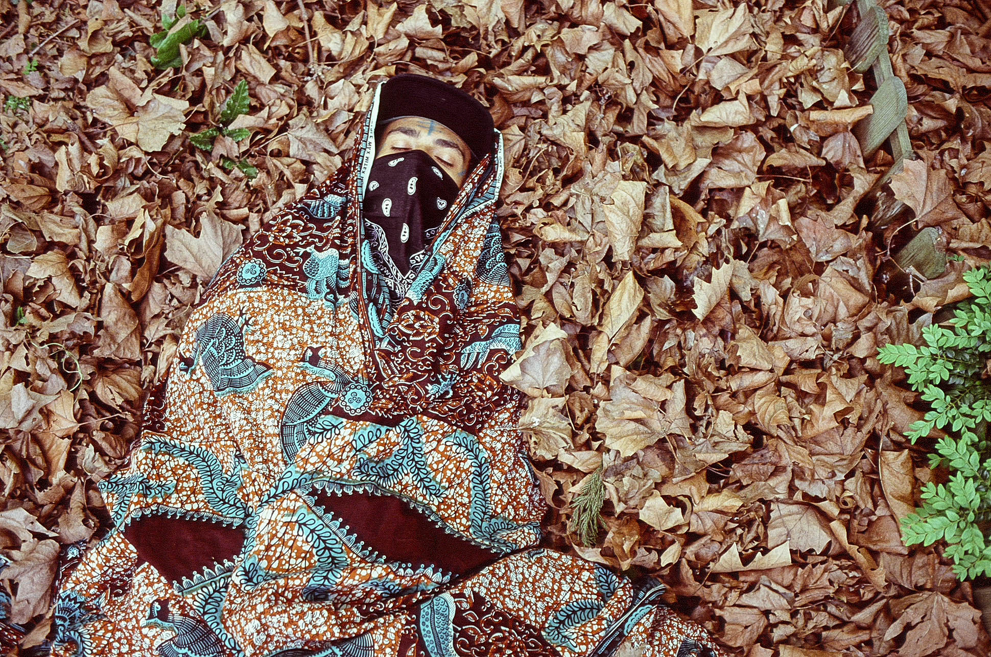 Onoe Caponoe Signs To High Focus Records!!! - Official Website of High ...