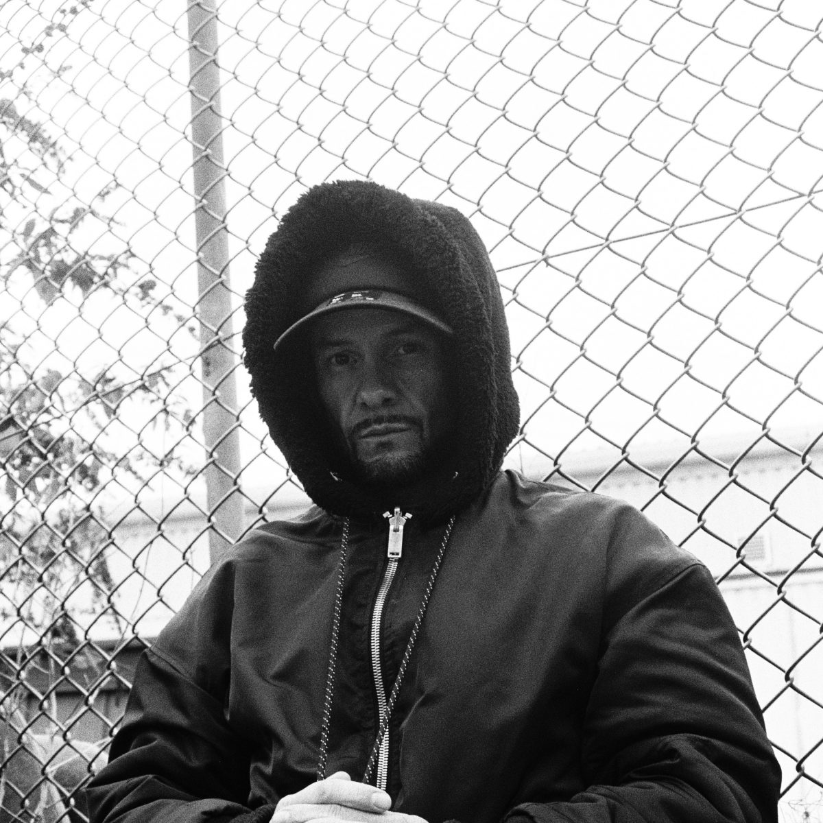 Home - Official Website of High Focus Records